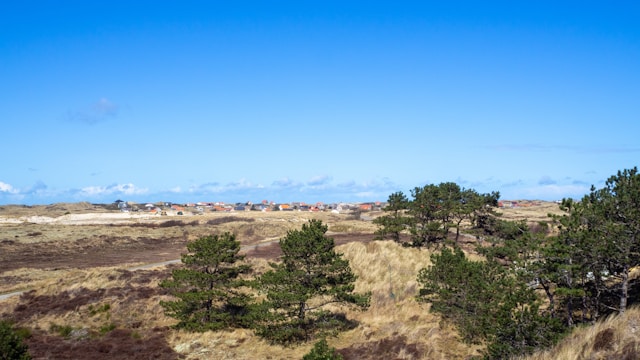Top 10 bezienswaardigheden en activiteiten op Terschelling ...