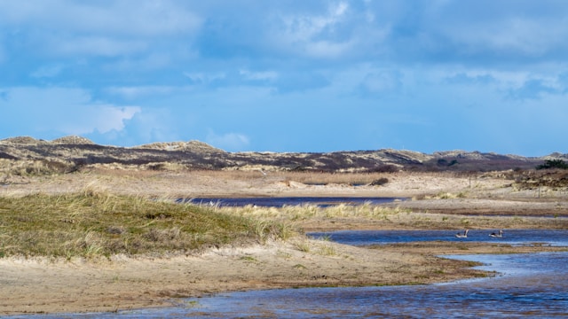 Veerdiensten en vervoer naar Terschelling: Plan je reis naar het eiland ...