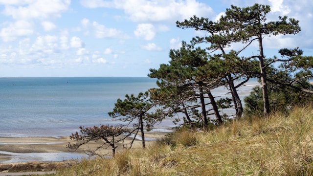 Top 10 bezienswaardigheden en activiteiten op Terschelling ...