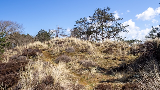 Top 10 bezienswaardigheden en activiteiten op Terschelling ...