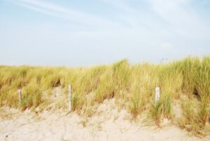 Waddeneilanden - Een adembenemende natuurlijke schoonheid