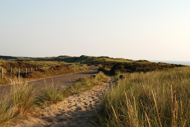 Texelse bossen en duinen: Natuurwandelingen - Waddeneilanden Gids